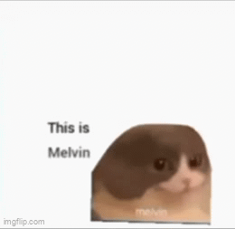 bye melvin - Imgflip