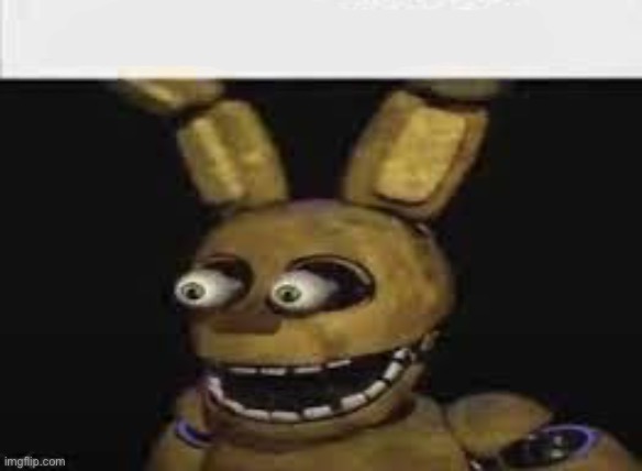 the zerussy - Imgflip