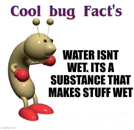 What Imgflip