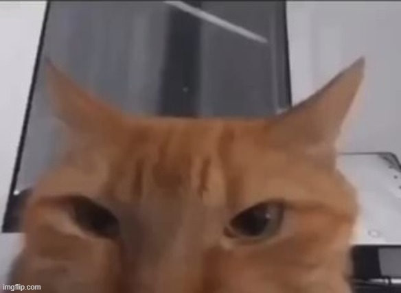 Imgflip