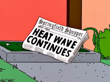 Animated GIF - Imgflip