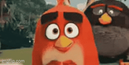 random gif - Imgflip