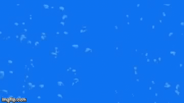 It is a dangrus - Imgflip