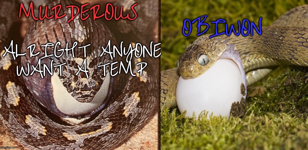 Murderous and ObiWON temp - Imgflip