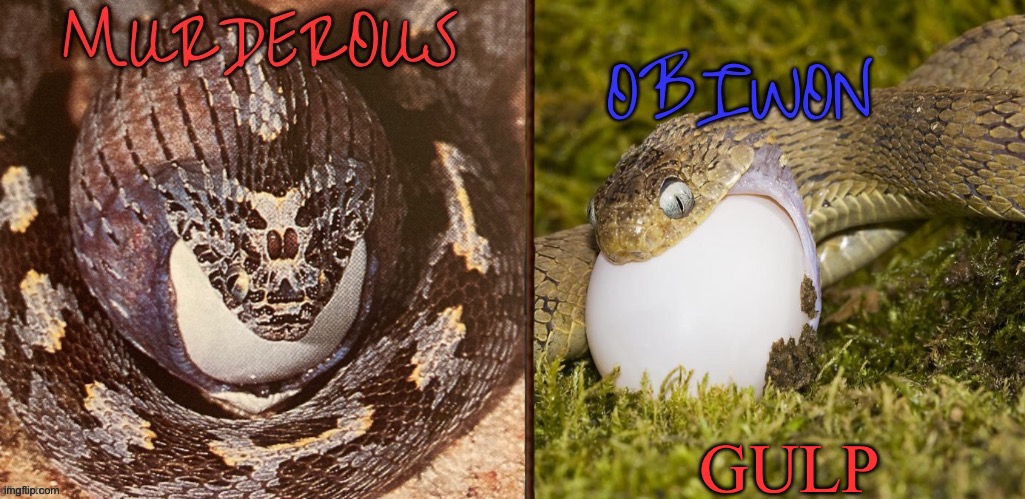 Thanks man! - Imgflip