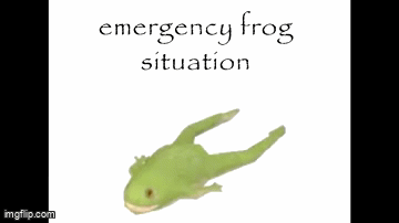 EMERGENCY FROG SITUATION - Imgflip