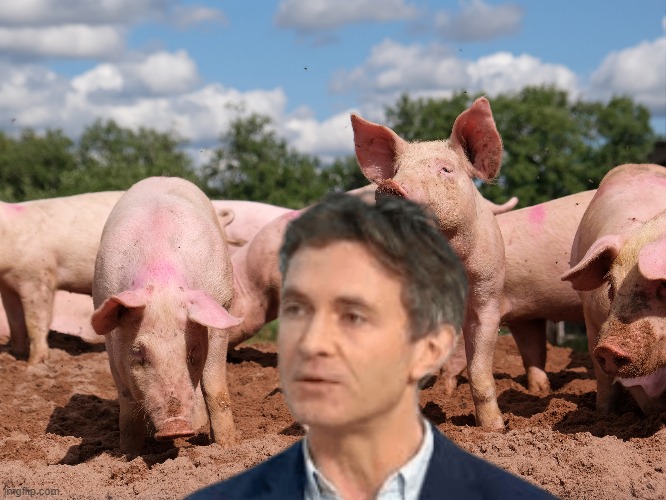 Douglas Murray - Imgflip