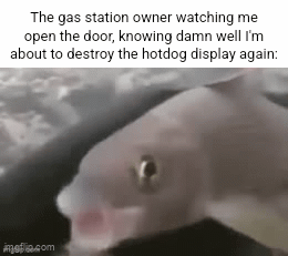 Pog fish screaming - Imgflip