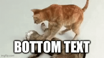 Please Laugh - Imgflip