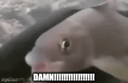 Pog fish screaming - Imgflip