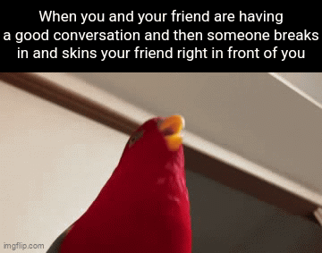 When you and your friend are having a good conversation and then ...