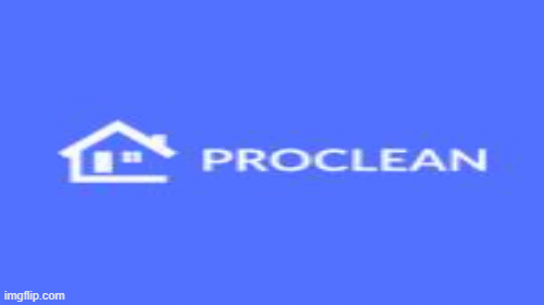 The ProClean Team - Imgflip