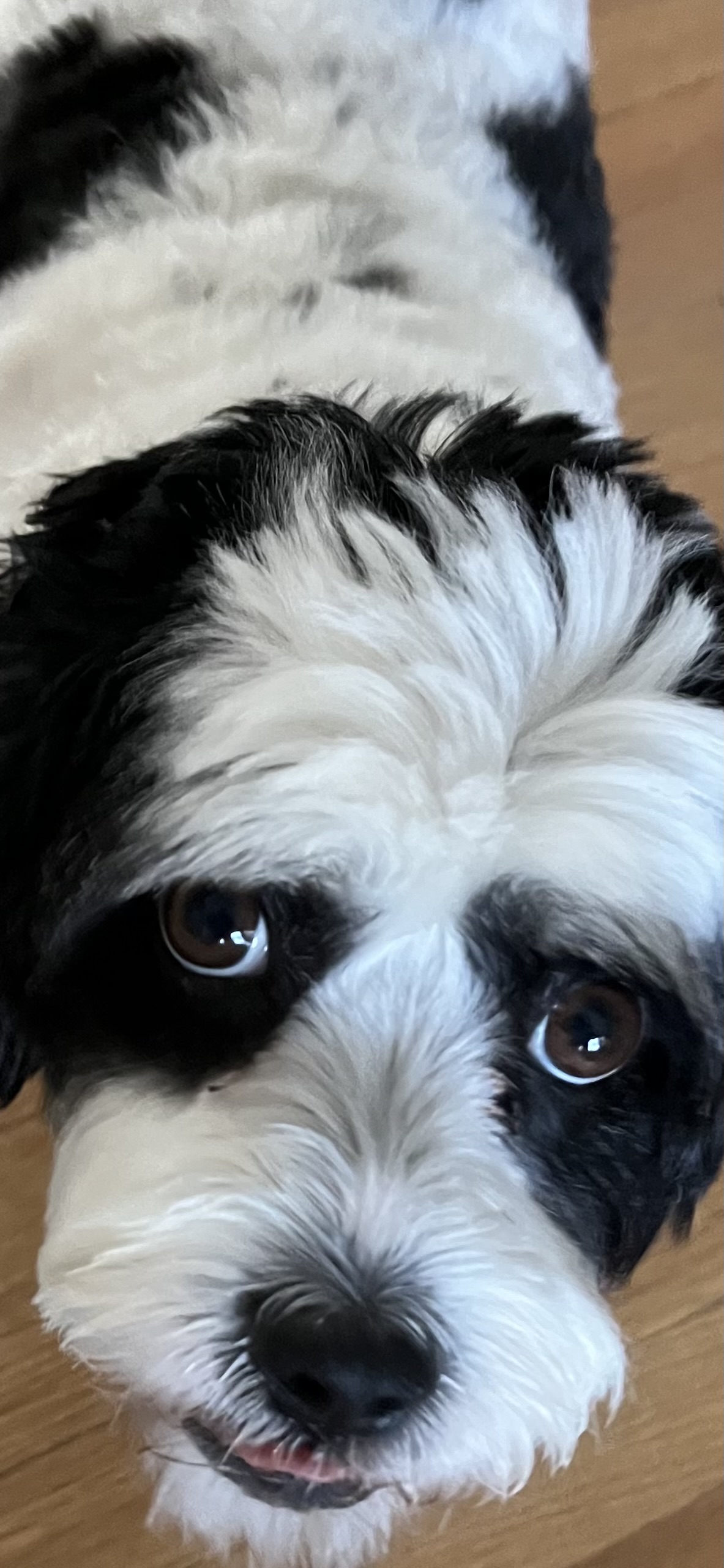 That’s a bummer Blank Template - Imgflip