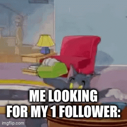If you are there follower, please comment or use the meme chat thingy ...