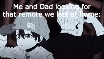 Me and Dad looking for that remote we lost at home - Imgflip