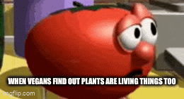 vegans be like - Imgflip
