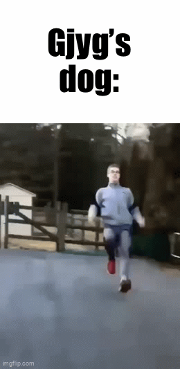 Animated GIF - Imgflip