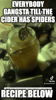 How to make spider cider - Imgflip