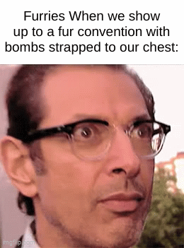 Jeff Goldlbum is WAY better than furries, just ha to get that straight ...