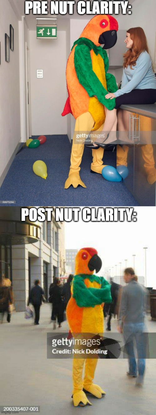 Damn birds. - Imgflip