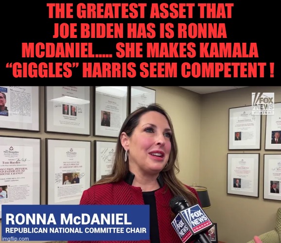 i wonder what they (democrats) are paying her. - Imgflip