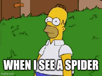 spider!!! - Imgflip