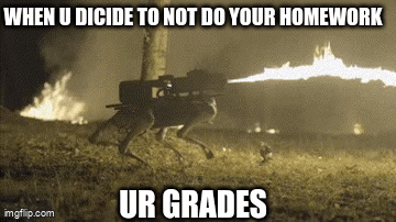 HOMEWORK MEME - Imgflip