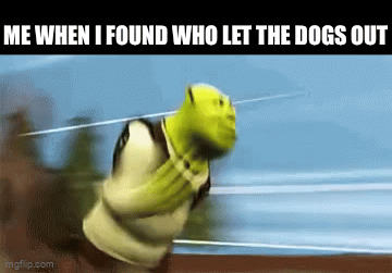 WHO LET THE DOGS OUT - Imgflip