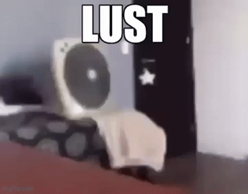 Animated GIF - Imgflip