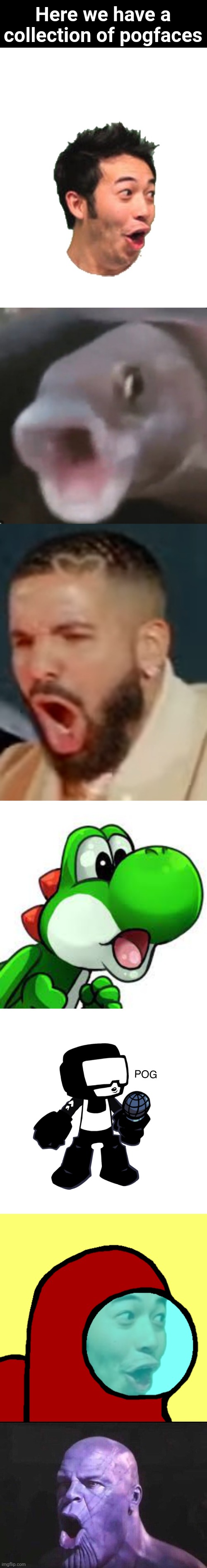 P O G - Imgflip