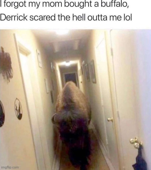Damnit Derrick - Imgflip