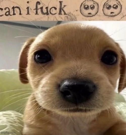 Pretty please - Imgflip