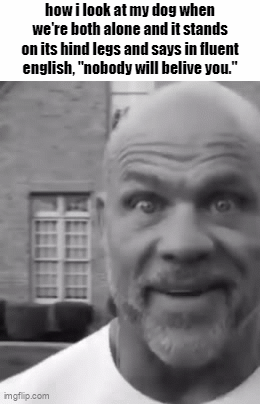 real - Imgflip