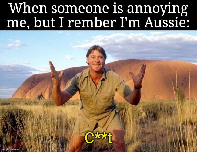 Steve Irwin Crocodile Hunter - Imgflip