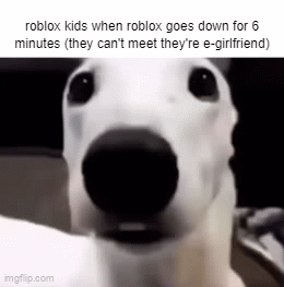 OMG WHY WHY NOOO - Imgflip