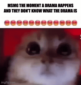 MSMG slander - Imgflip