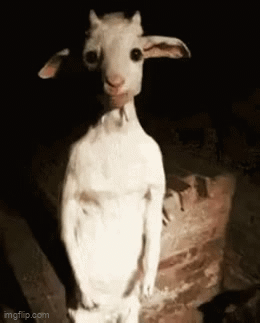 goat - Imgflip