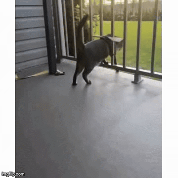 Escape Attempt Foiled ! - Imgflip