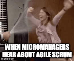 When micromanagers hear about Agile Scrum - Imgflip