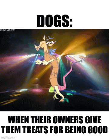 dogs when they get rewarded - Imgflip
