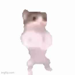 Cat - Imgflip