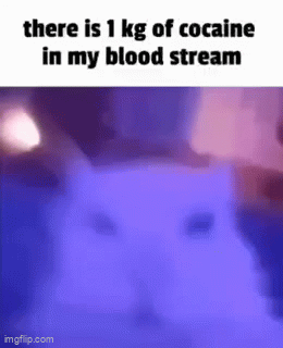 RAHHHH - Imgflip