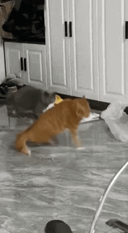 She saw a spider and she be like - Imgflip