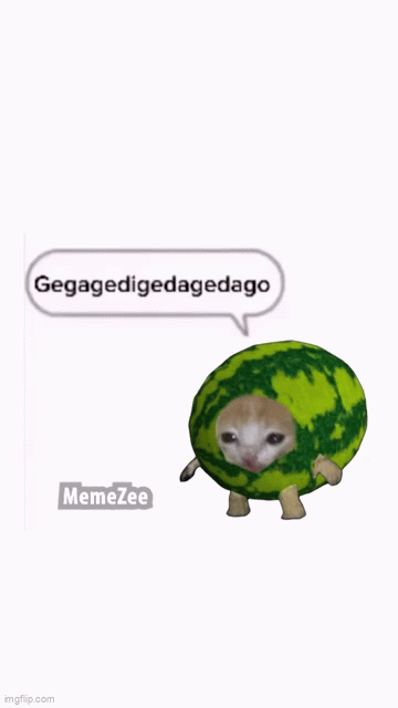 Animated GIF - Imgflip