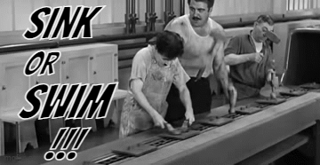 sink or swim - Imgflip