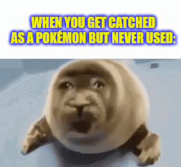 Pokémon - Imgflip