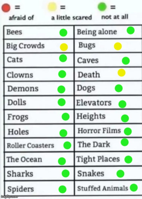 I am unfazed. (The bugs one was a lie I am terrified of butterflies ...