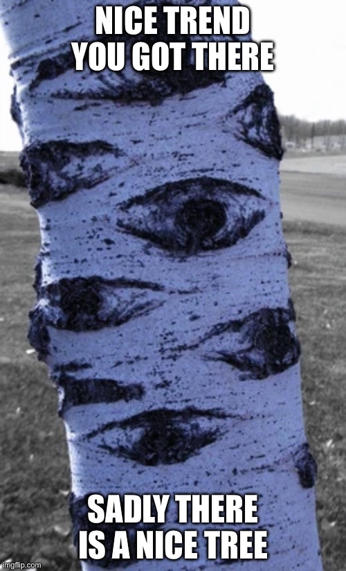 what a nice tree - Imgflip