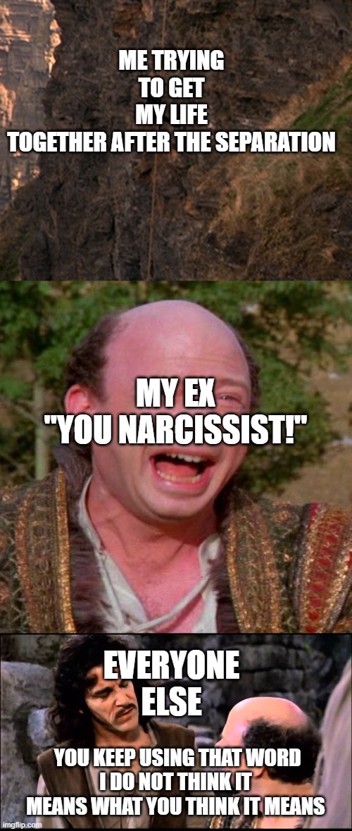 Image tagged in cliff of insanity,inconceivable vizzini,princess bride ...