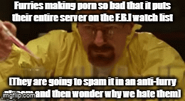 This legit happened in one of my anti-furry servers. - Imgflip